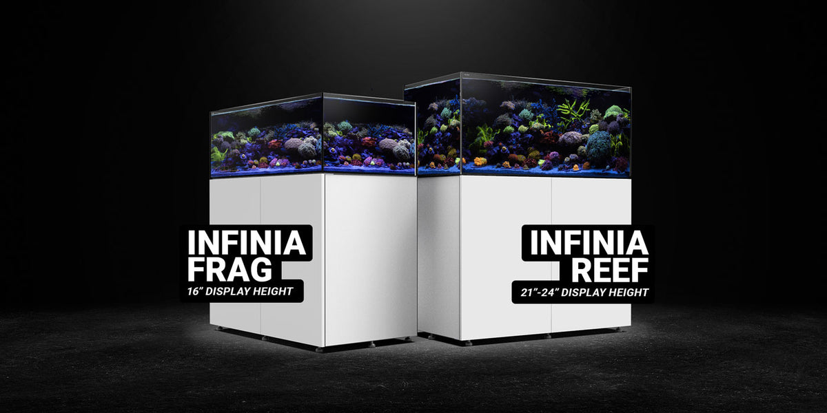WATERBOX AQUARIUMS INFINIA FRAG & REEF – Aqua Dragon